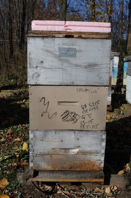 hive ventilation | Beesource Beekeeping Forums