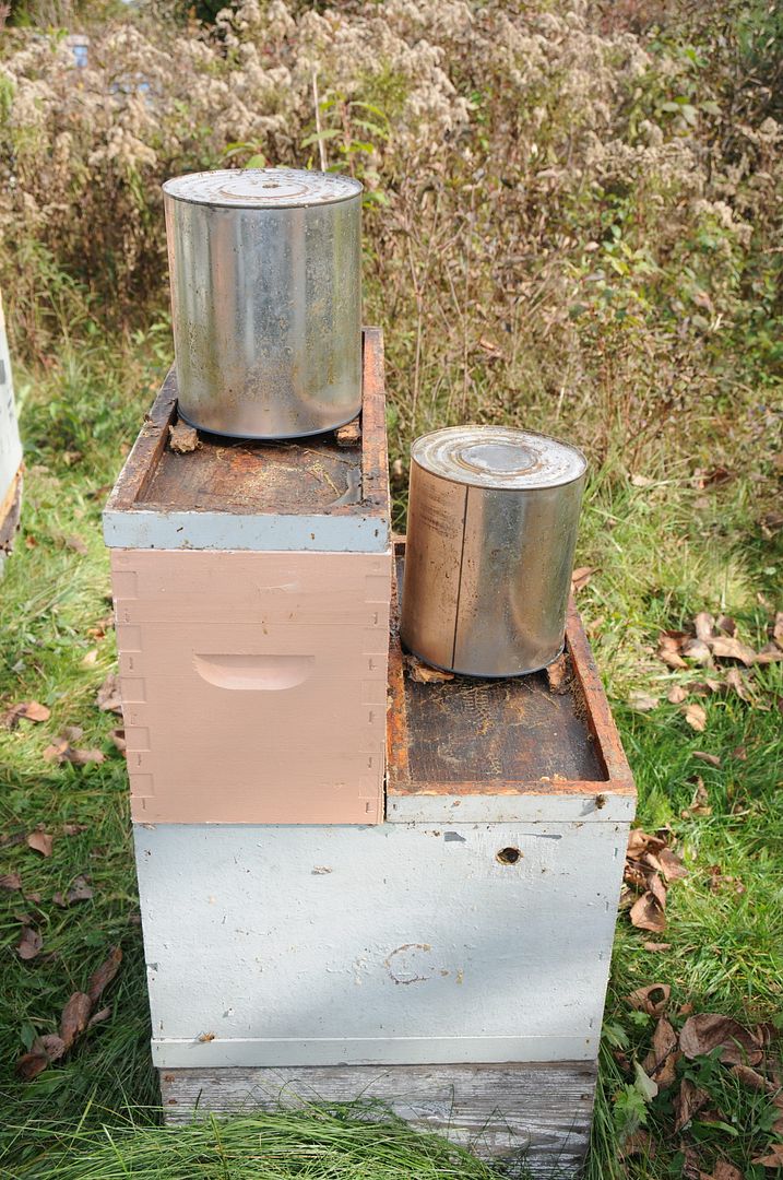 Feeding methods for side by side, stacked 4 frame nucs | Beesource Beekeeping Forums