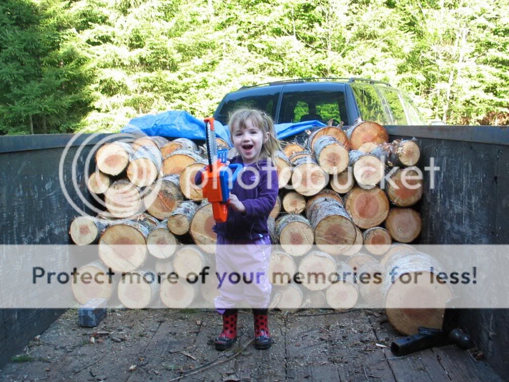 Firewood Galore | Arborist, Chainsaw & Tree Work Forum