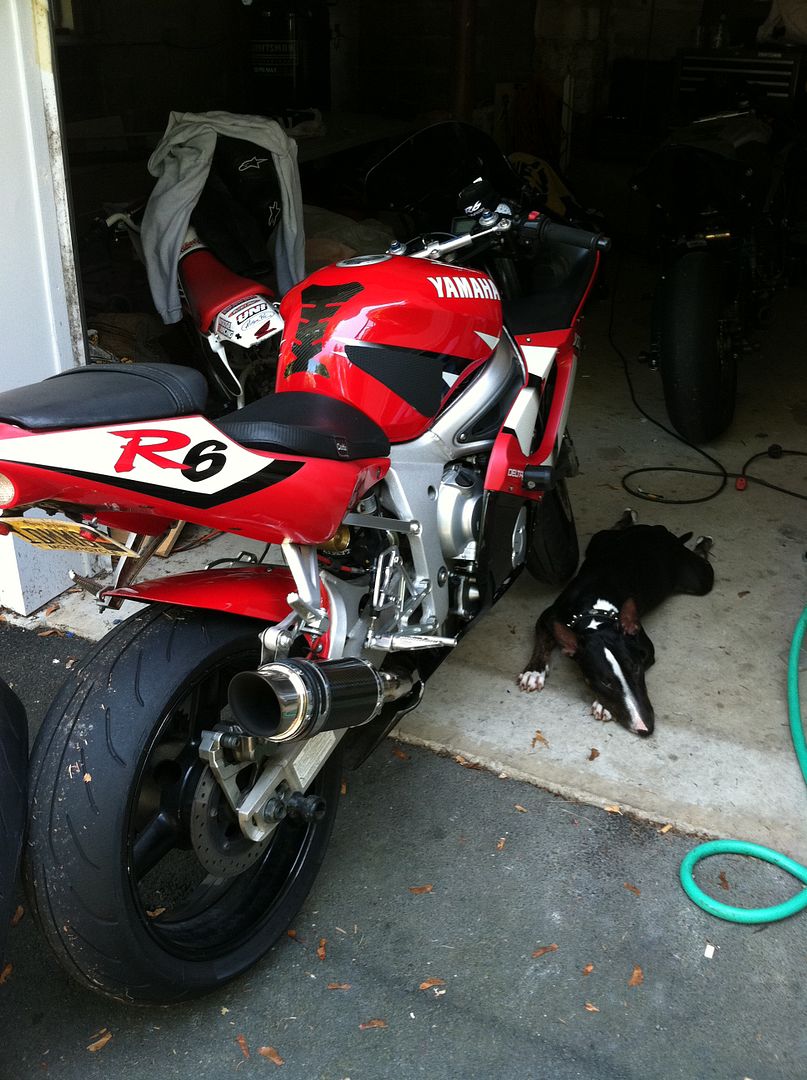 Chief's 02 R6 Thread | Page 15 | Yamaha R6 Forum: YZF-R6 Forums