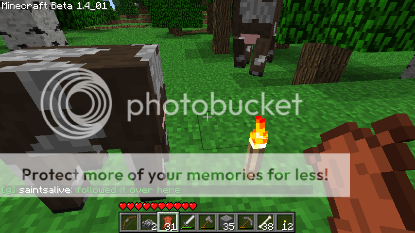 Strange and amazing cow glitch - Discussion - Minecraft: Java Edition ...