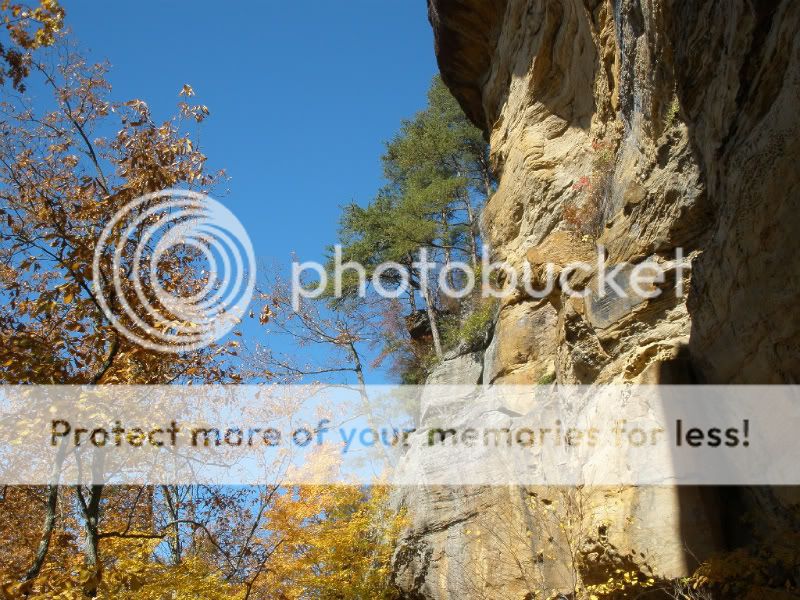 Danley DTS-10 "Super Spud" DIY kit | Page 23 | AVS Forum